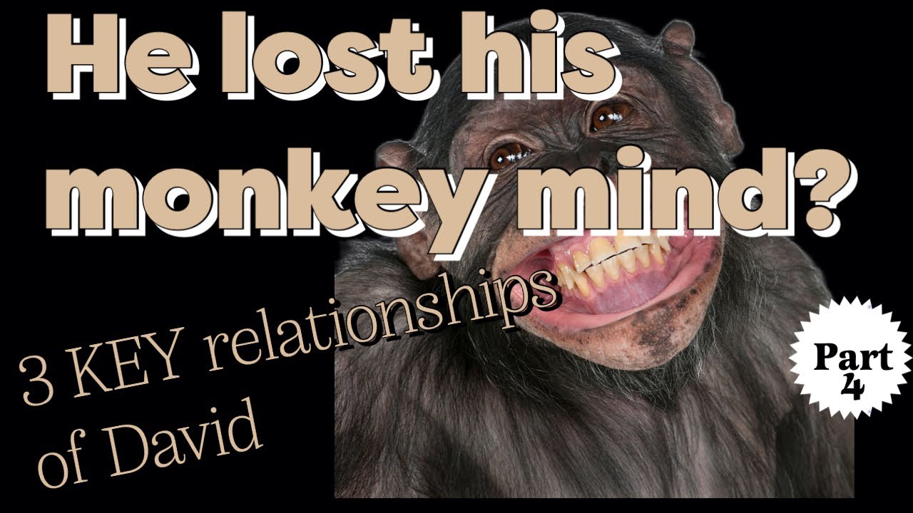 Stay the Course ~ Saul loses his monkey mind and David has to learn how ...