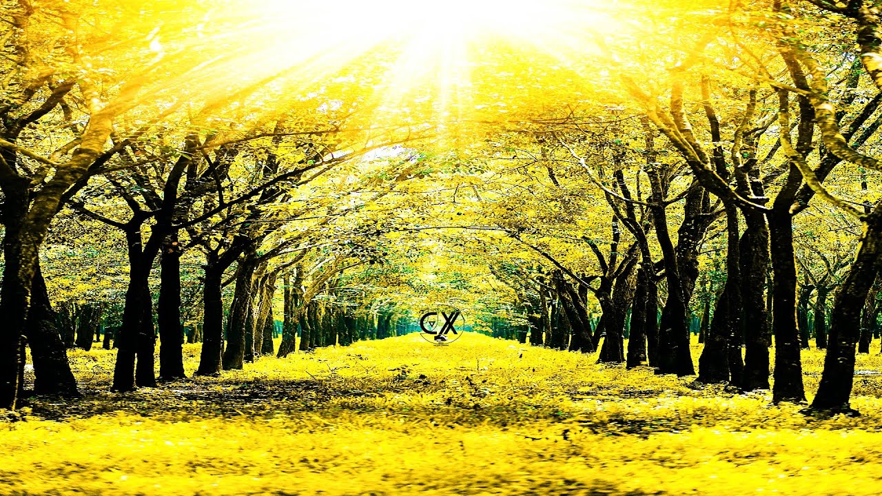 MagiCXbeats - Sun Shine - YouTube