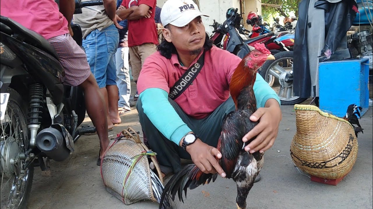 banyak tengkulak berdatangan di pasar wedi - YouTube