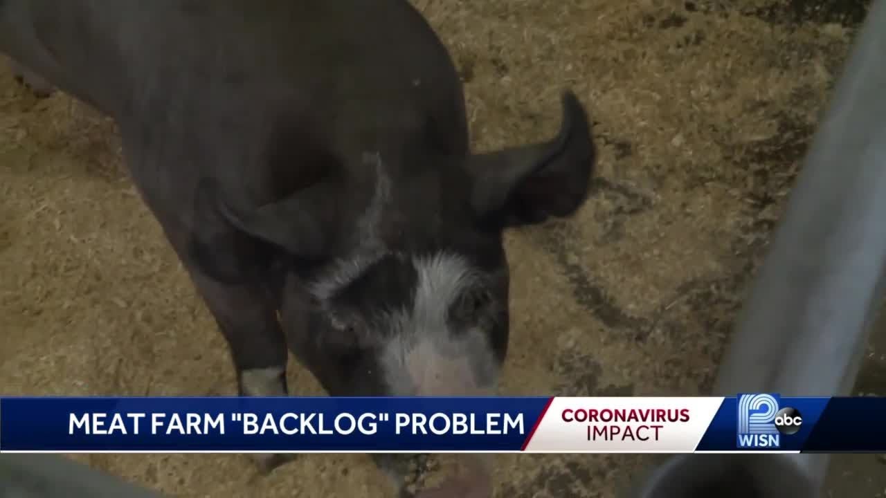 Meat farm overcrowding? - YouTube