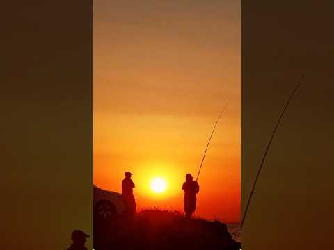 8 BİGA BİASDER SURFCASTİNG BALIK YAKALAMA YARIŞMASI                 UYSAL İLETİŞİM - GÖNEN/BALIKESİR