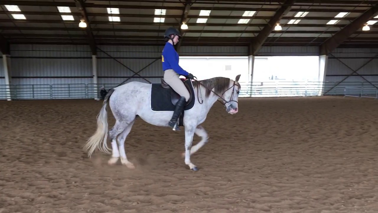 Newberg OHSET 2018 Meet #2 - Hunt Seat Equitation - Sami - YouTube