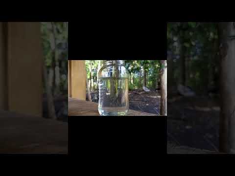 Bacterial ooze test for Laboratory 4 - YouTube