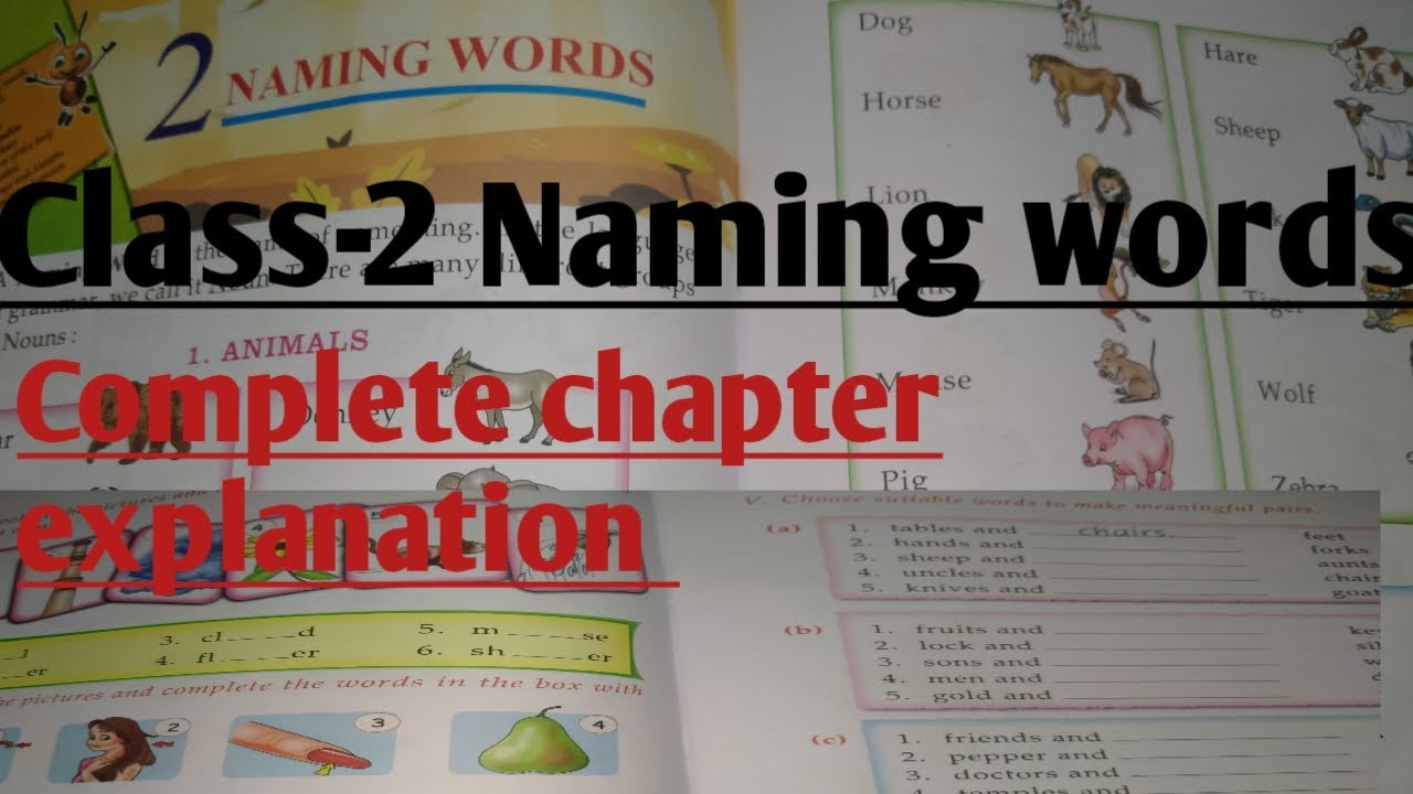 Class -2 English Grammar chapter -2 Naming word.. Complete chapter ...