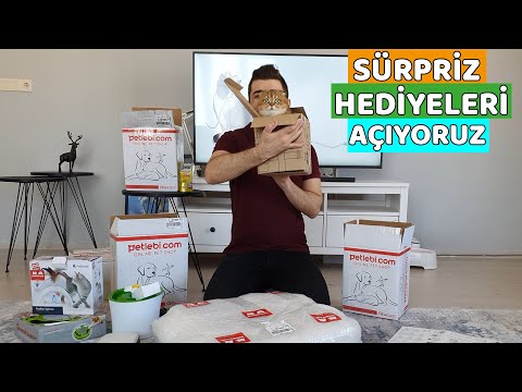 KEDİLERİMİZ İÇİN GELEN İLGİNÇ HEDİYELERİ AÇIYORUZ