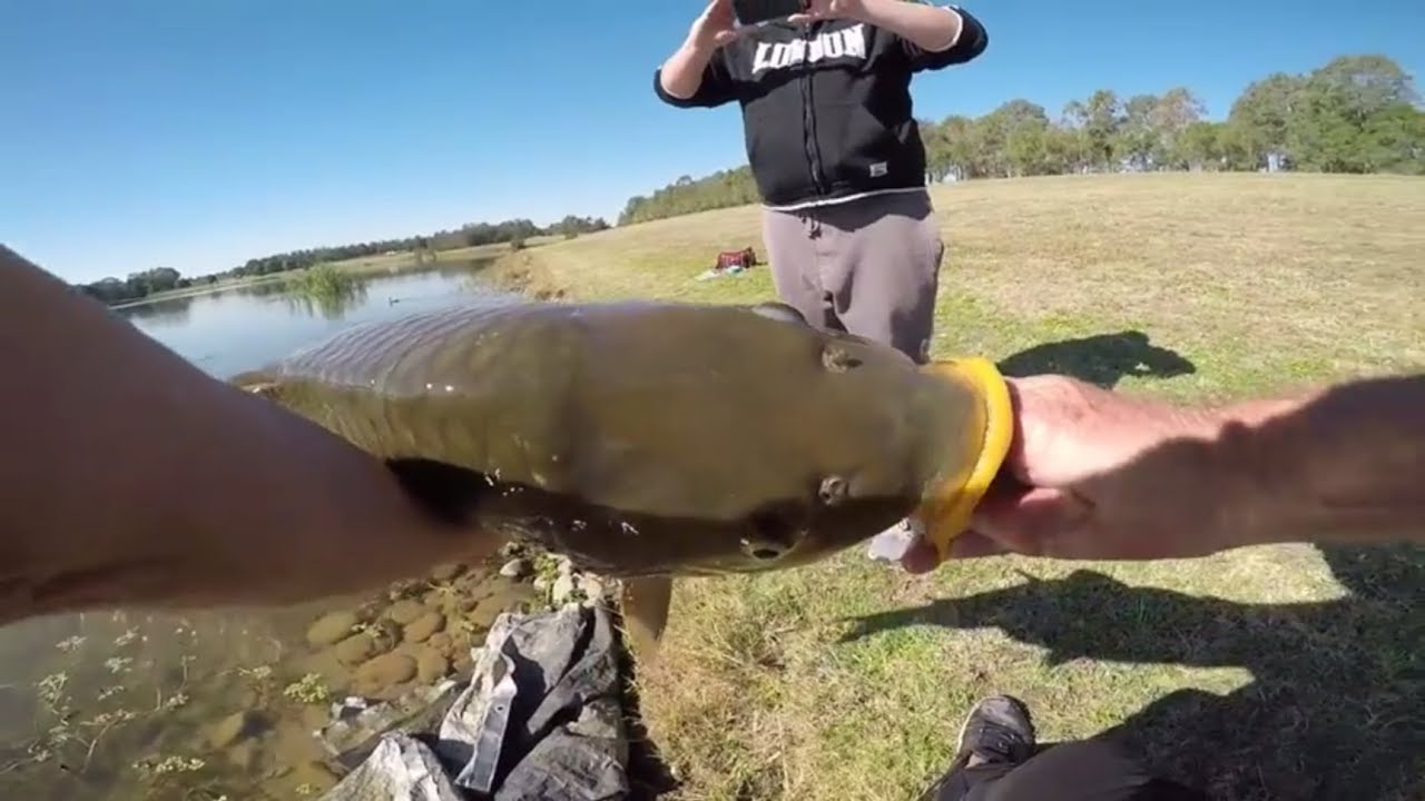 Does anyone know out of curiosity, the World Record for the biggest ...