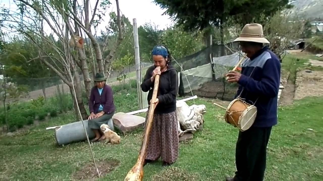Didgeridoo y Pingullo / Vibración Ancestral / Don Rosalino / Ecuador ...