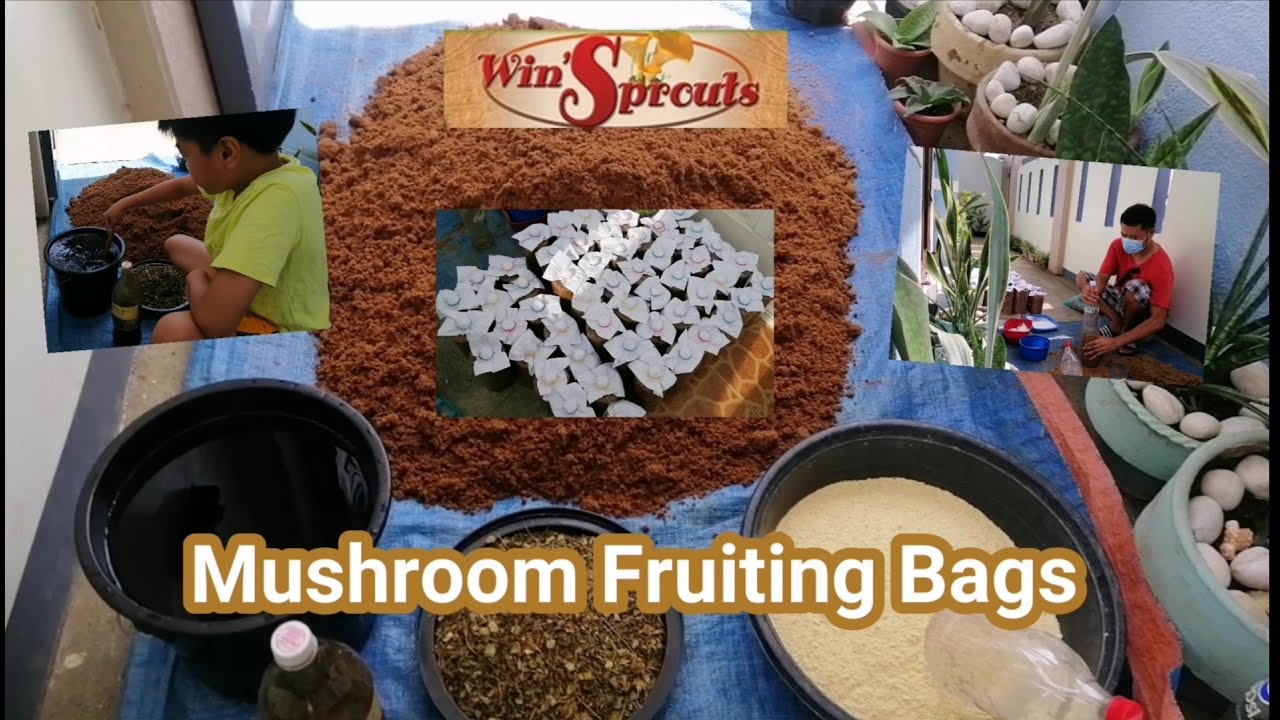 How to make fruiting bags for oyster mushroom - YouTube