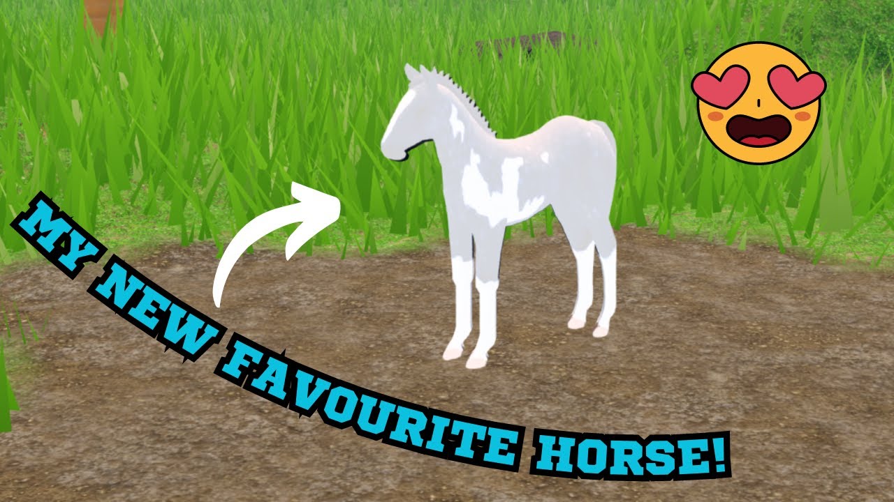 BREEDING EVERY COAT ON ARABIANS | Wild Horse Islands - YouTube
