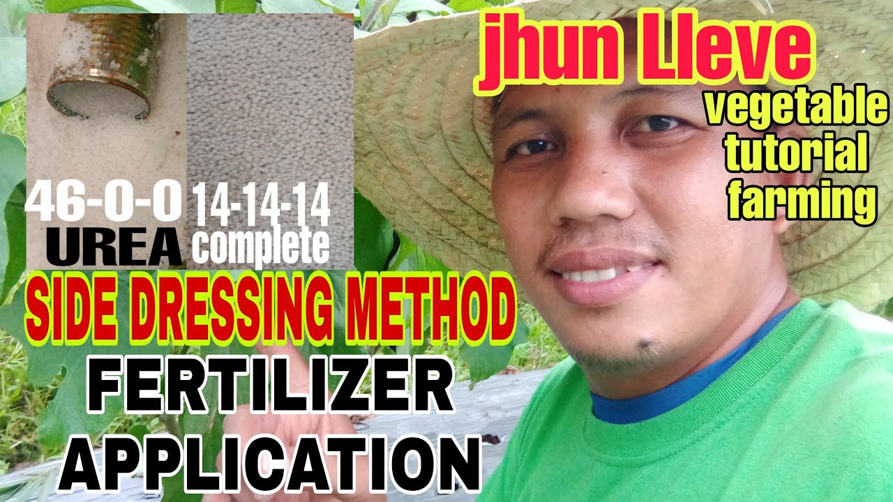 PAANO BA MAG SIDE DRESSING METHOD/FERTILIZER APPLICATION/JHUN LLEVE ...