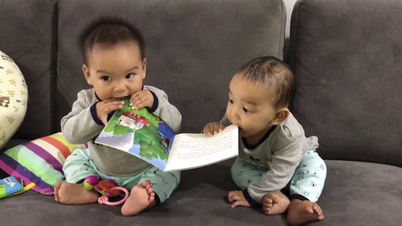 Funny Cute Twin Babies Fighting Over Who Will Win - YouTube