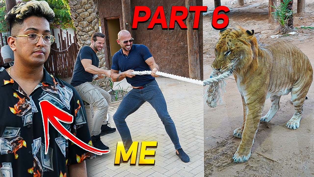 Andrew Tate Private Dubai Zoo Tour ! (UNCUT) PART 6 - YouTube