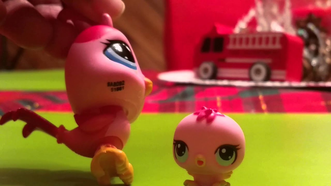 NEW LPS BIRD :D - YouTube