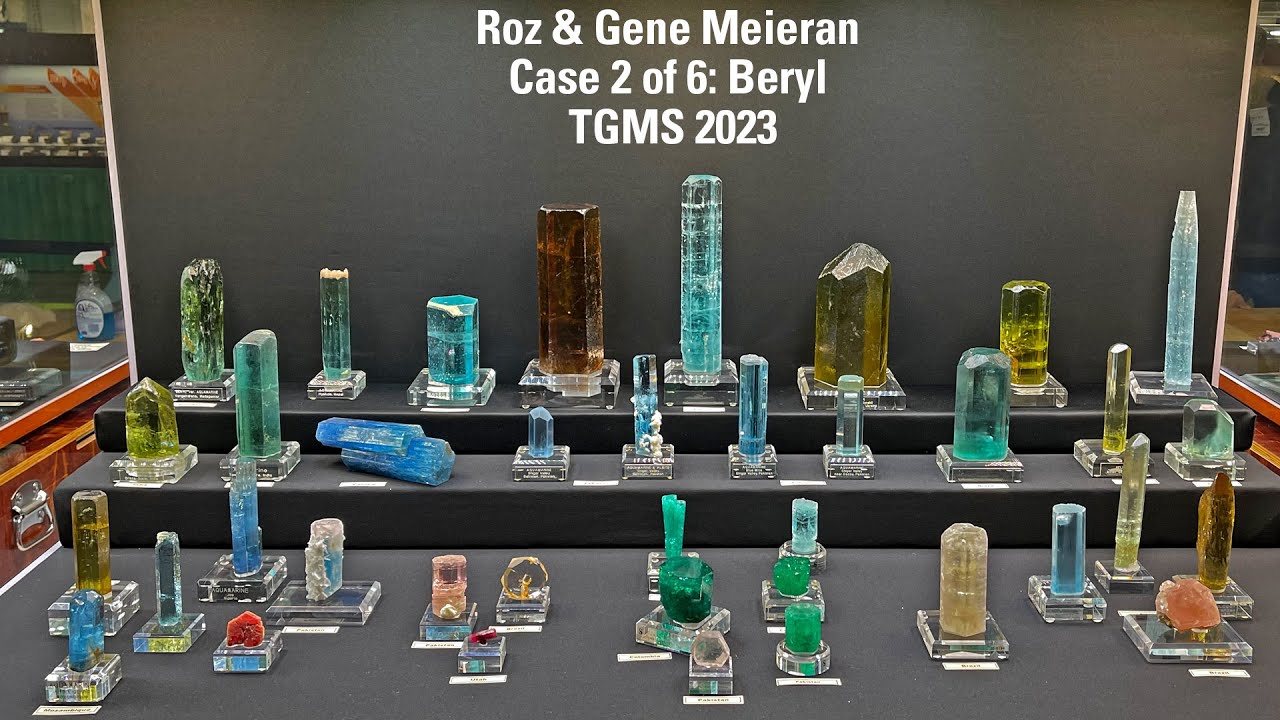 TGMS 2023 - Gene Meieran Case - 2 of 6 - Beryls - YouTube