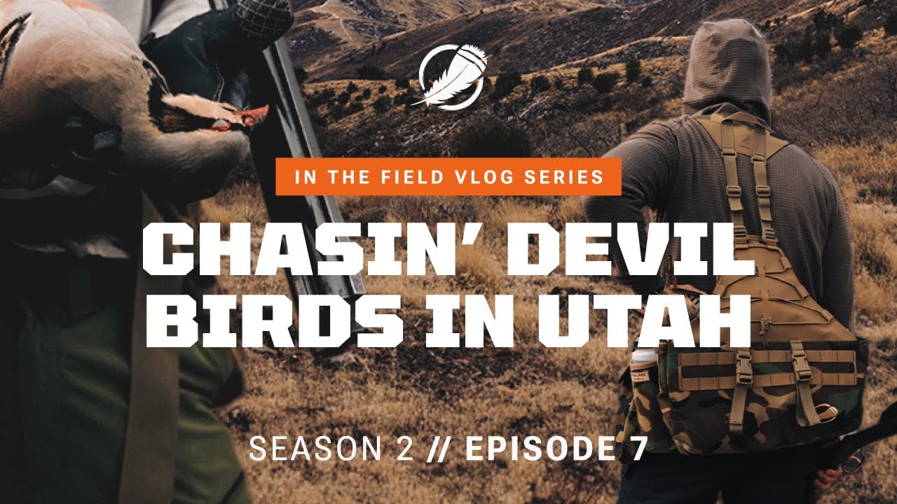 Chasin' Devil Birds in Utah - Final Rise ‘In The Field’ S2. E7. - YouTube