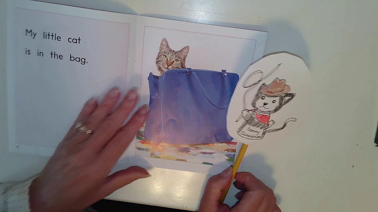 My Little Cat Summary - YouTube