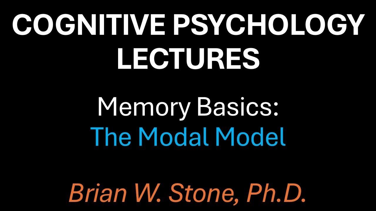 Cognitive Psychology - Memory Pt1 - The Modal Model - YouTube