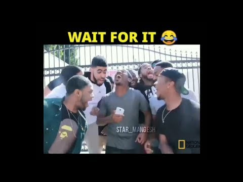 funny memes whatsapp status hindi gaali meme - YouTube