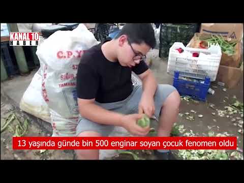 13 yaşında günde bin 500 enginar soyan çocuk fenomen oldu