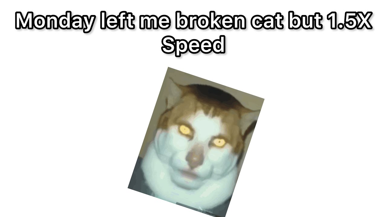 Monday left me broken cat but 1.5X speed (There is no way someone will ...