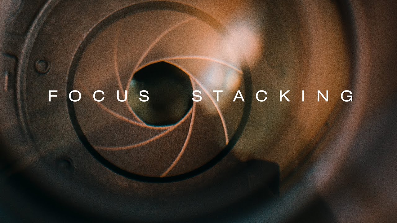 FOCUS STACKING - The BEST method in Photoshop - YouTube