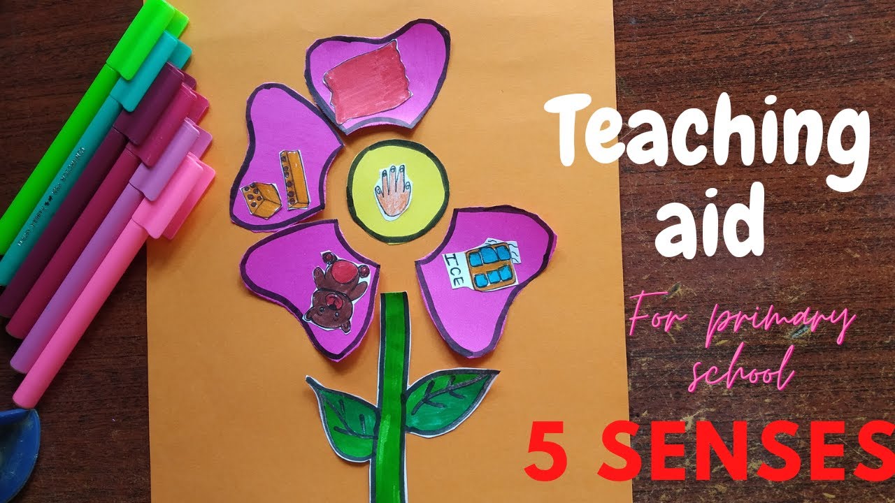 5 Senses TLM | Teaching aid for primary school children| @GjStudies ...