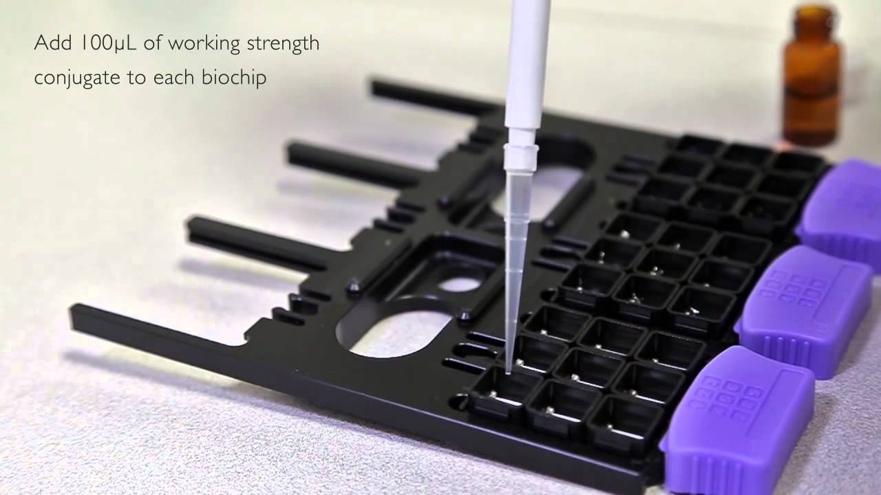 Assay Protocol for Randox Food's AM V Biochip array - YouTube