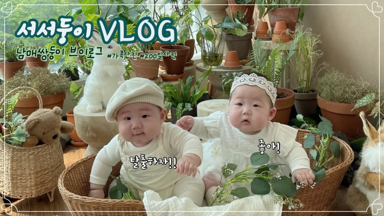 6개월 쌍둥이 Vlog 셀프200일촬영 베이비빌리 셀프가족사진찍기 육아어플 이모의 둥이 사랑 육아브이로그