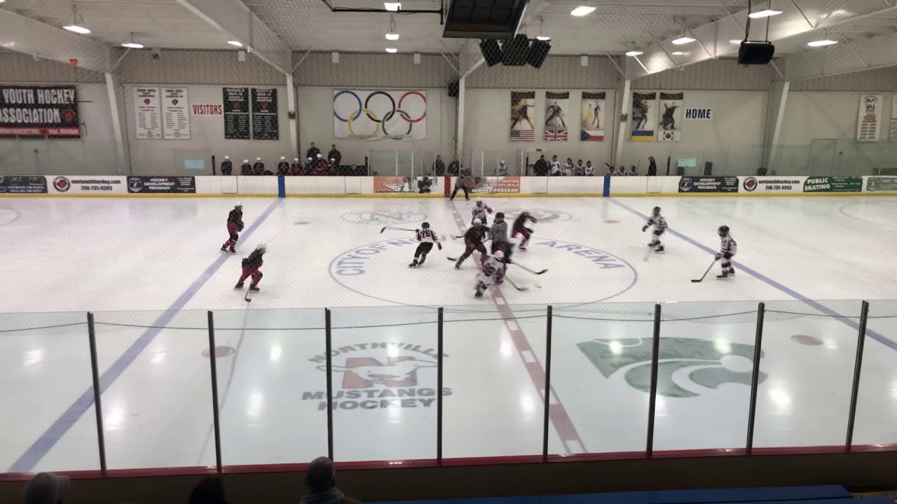 Part 1 06 Ice Cats Jan 25 - YouTube