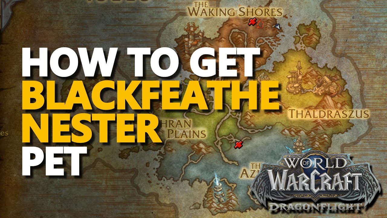 How to get [Blackfeather Nester] WoW - YouTube