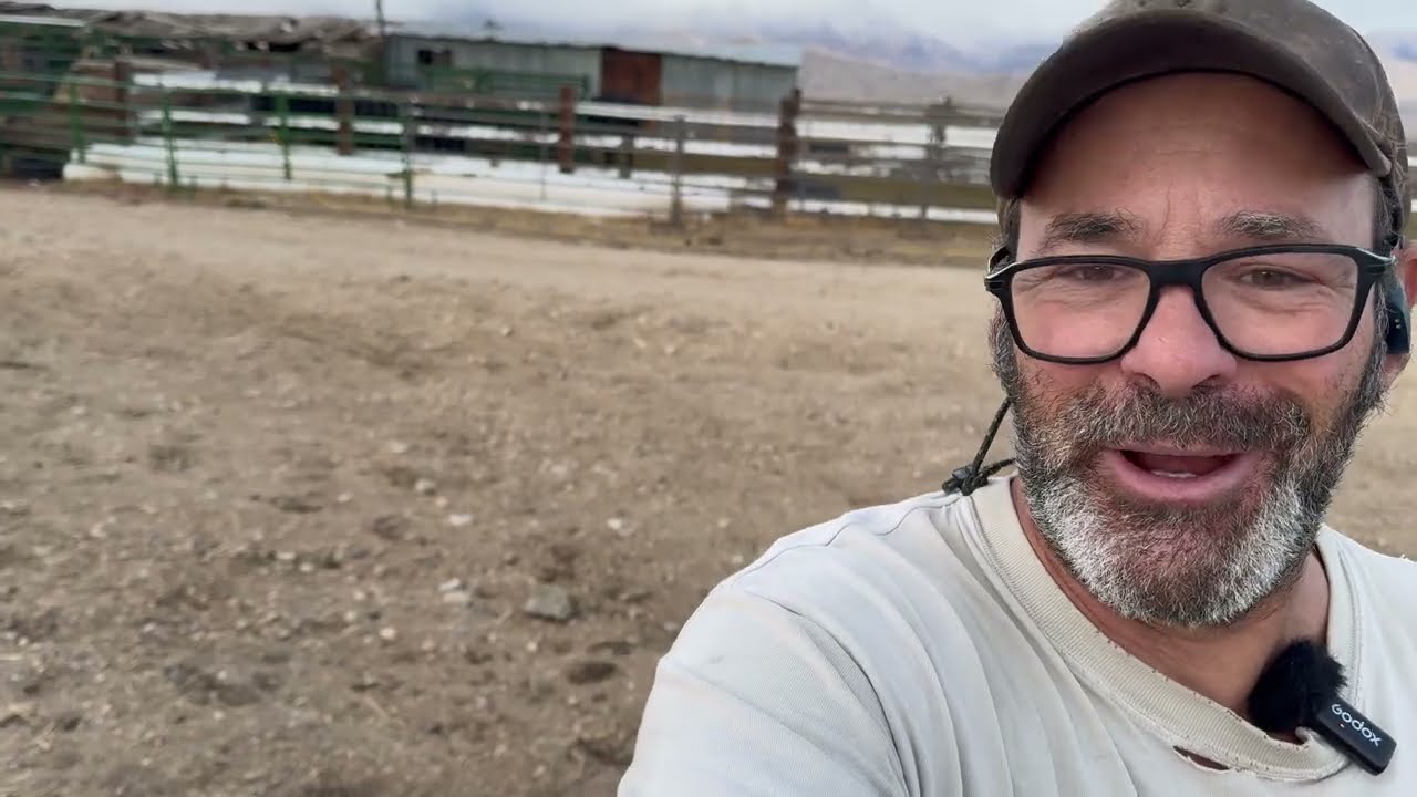 Brand Inspection and Hauling Hay for the Homestead - YouTube