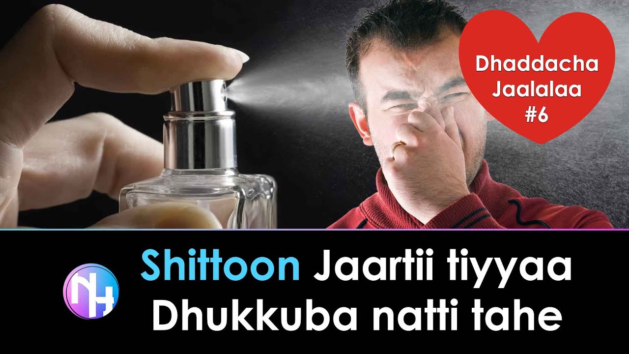 Shittoon Jaartii tiyyaa dhukkuba natti tahe - Dhaddacha Jaalalaa Doosee ...