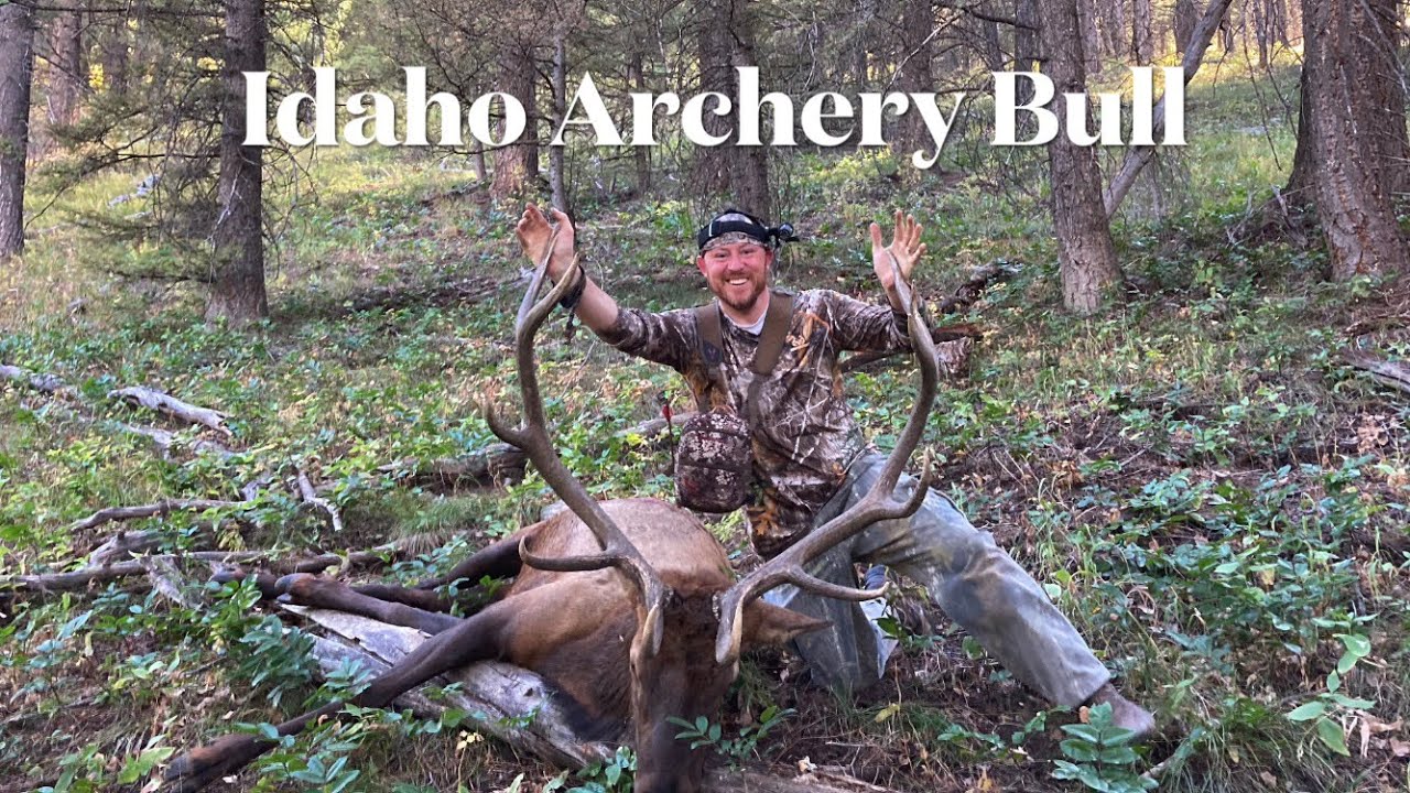 Archery Elk Hunt Part 4 YouTube