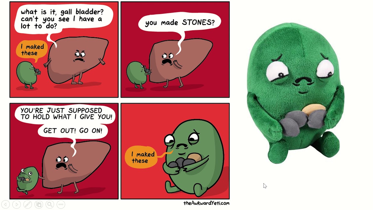 Gallbladder Cartoon I Made These