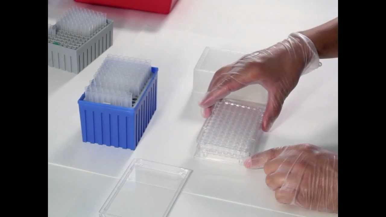 Skin PAMPA Explorer™ Test System Demo - YouTube