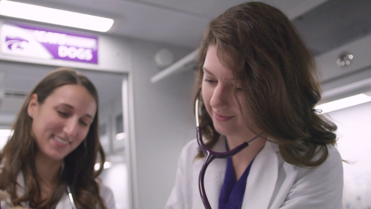 K-State Vet Med Virtual Tour - Clinical Sciences and the Veterinary ...