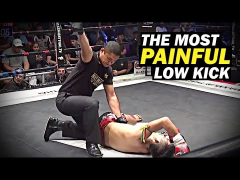 Some of the Most Painful MMA Low Kick ! - YouTube