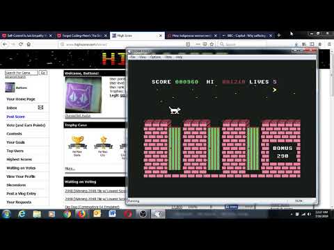C64 Emulated Alley Cat; 1690 - YouTube