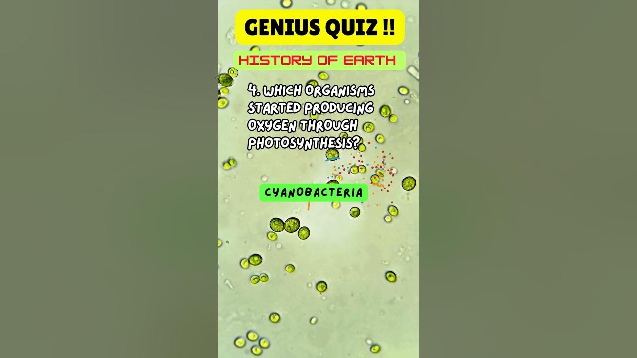 Quiz History planet Earth 4 #science #universe - YouTube