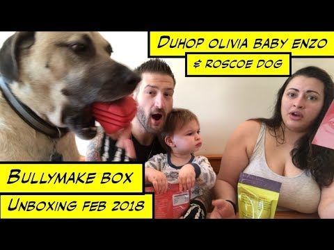 Duhop BULLYMAKE DOG BOX Unboxing February 2018 - YouTube
