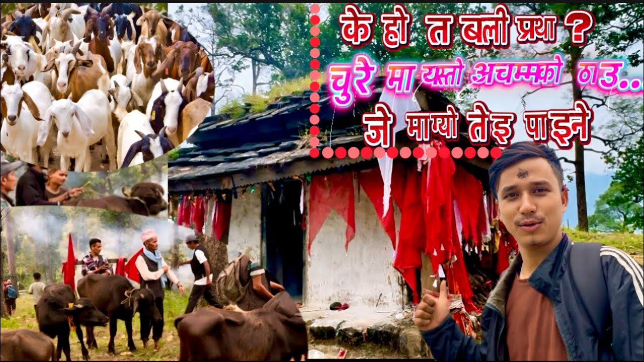 के हो बली प्रथा? || चुरे 4 मा रहेको अचम्म को ठाउ, जे माग्यो तेइ पाइने ...