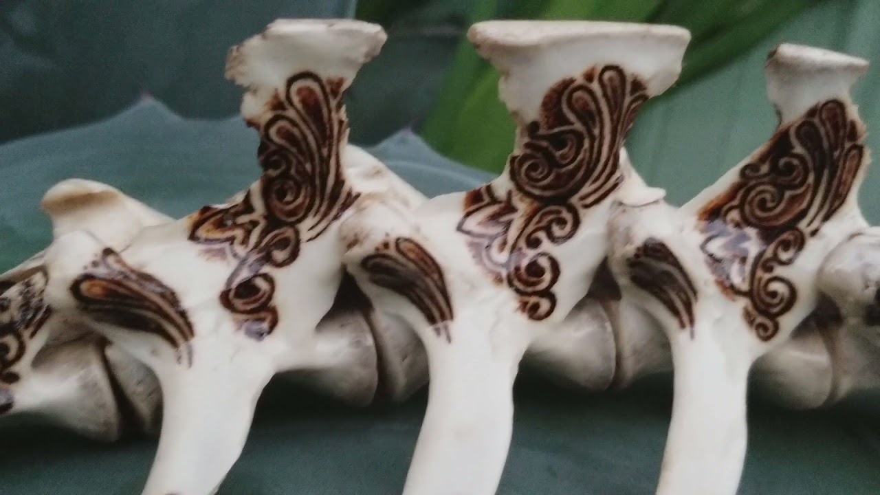 Pyrography on a fused Sheep vertebrae - YouTube