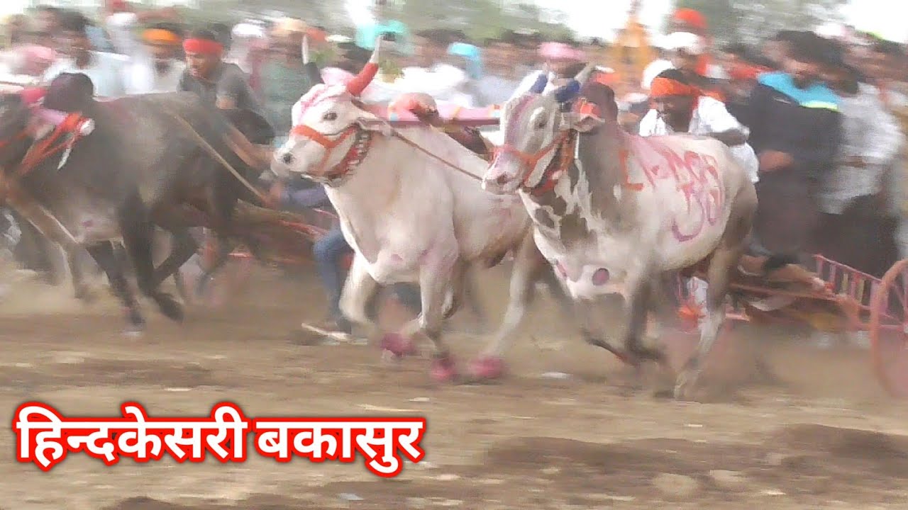 mohil seth mulsi maharashtra king hindkesari bakasur videos - YouTube