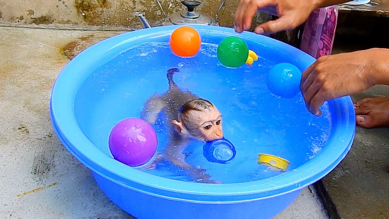 Great Job! JULIE Being Learn To Swim Herself Very Well. - YouTube