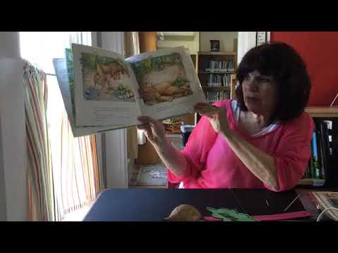 SSCL Story Time with Patsy Baldus "Ansani and the Moss-Covered Rock ...