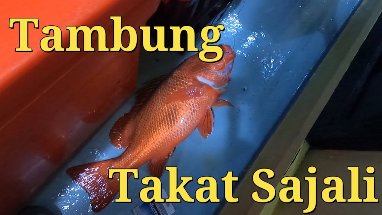 Sabah Deep Sea fishing | Takat Sajali | Pulau Mengalum (Borneo ...