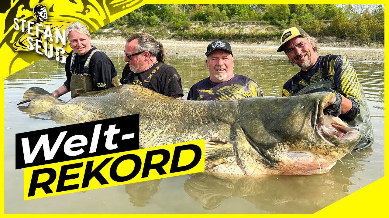 WELTREKORD WELS 281cm | World Record Catfish 9,23 feet | Der Fisch des ...