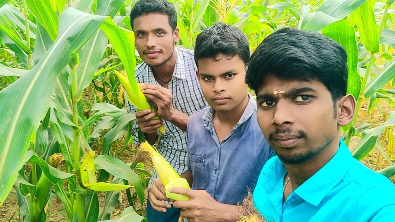 GRILLED CORN | SOLAM RECIPE IN TAMIL #CHALLENGEVLOGS - YouTube