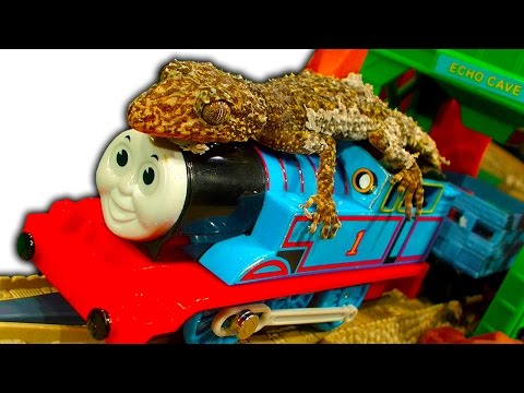 Thomas Tank And The Amazing Dinosaur Lizard Train Ride