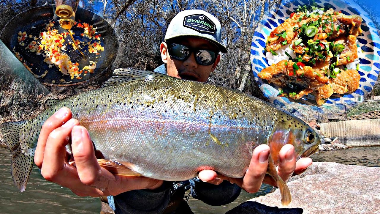 RIVER CATCH AND COOK: Trout (Spring Fishing) - YouTube